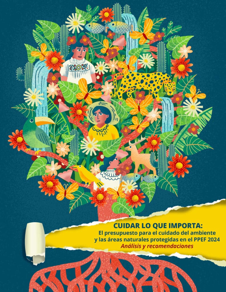 Cuidar lo que importa: el presupuesto para el cuidado del ambiente y ...